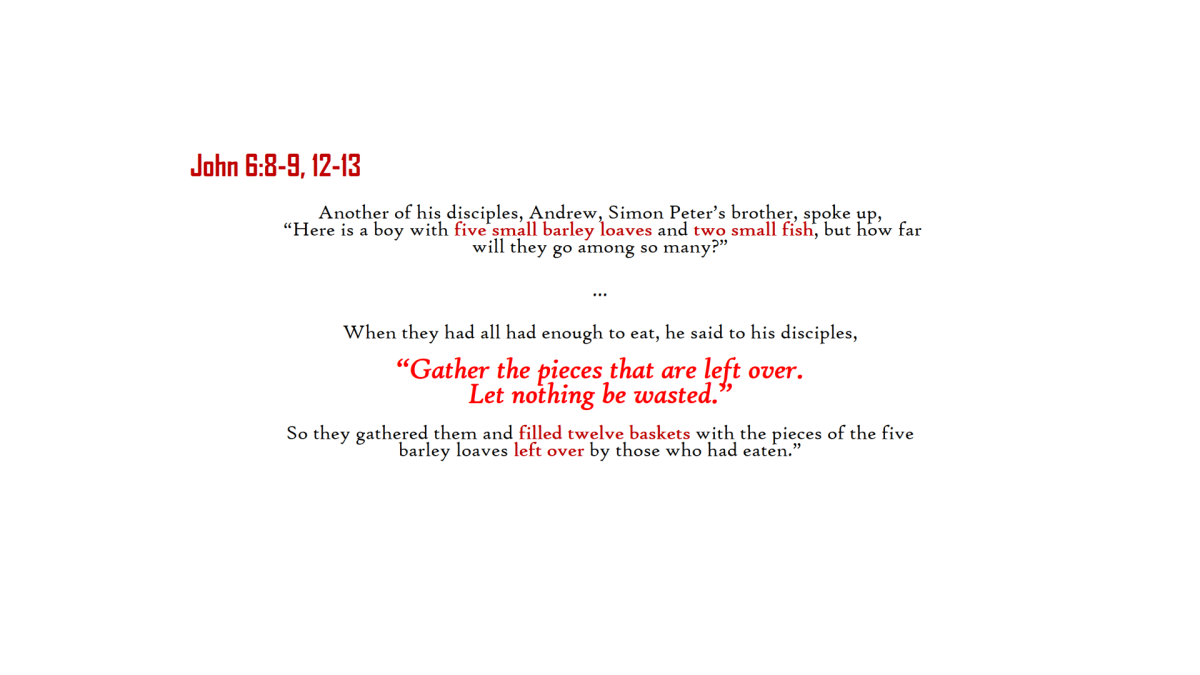 Jesus’ Eyes – Untainted Word